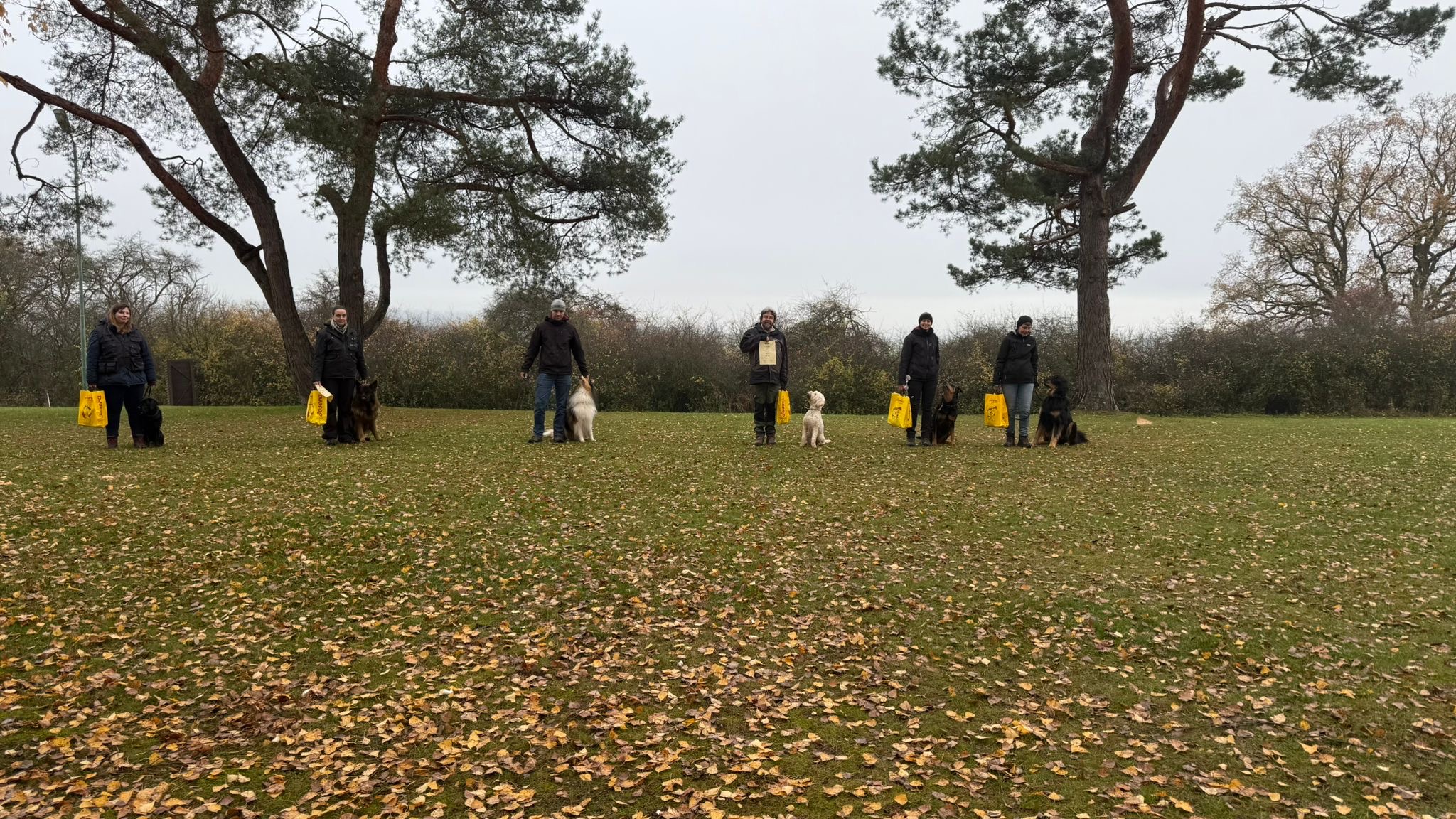 Begleithunde- und internationale Begleithundeprüfungen (IBGH) am 09.11. ...